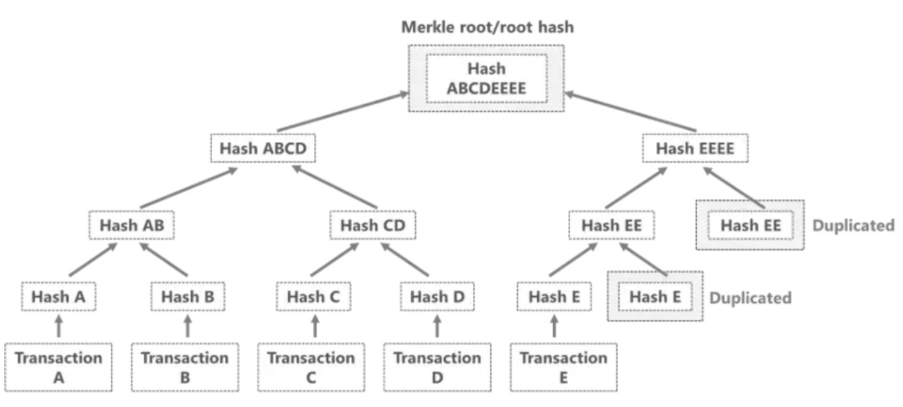 What is Merkle Tree? • MEXC Blog